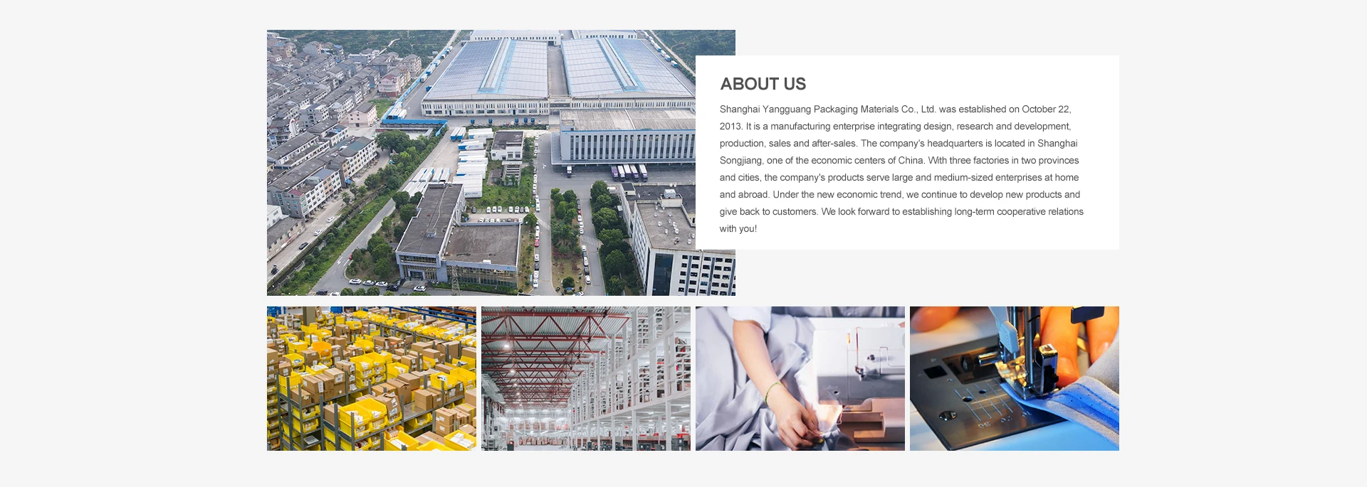 Shanghai Yangguang Packaging Material Co., Ltd. - Cooler bag, Non Woven bag