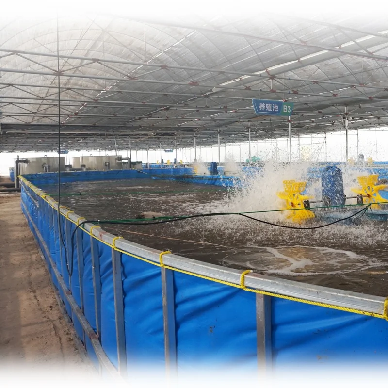 Ras Shrimp Farming - Efficient Aquaculture Solutions