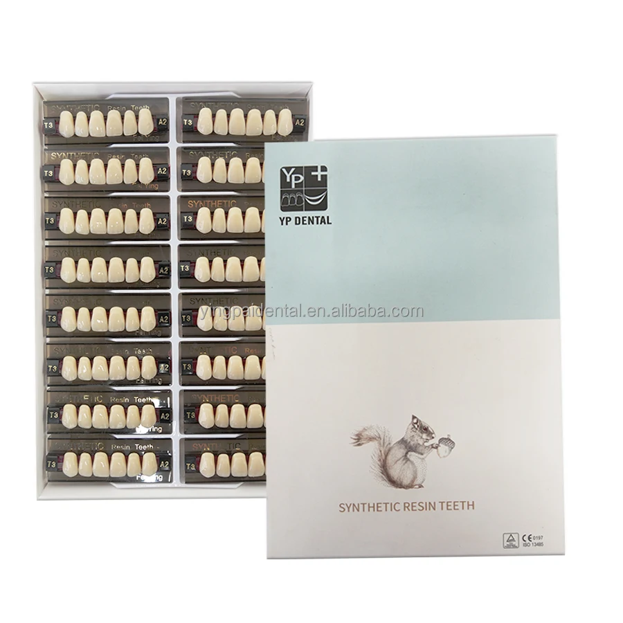 Dentures Synthetic Polymer Teeth - Acrylic Denture Teeth