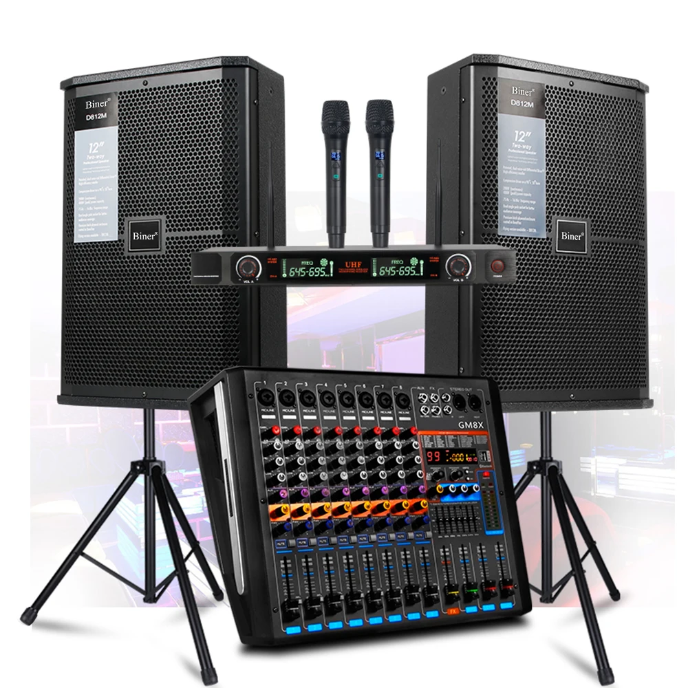 Biner D812 Professional Single 12 Inch Sound System Speaker For Ktv ...