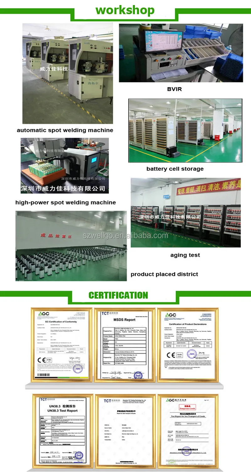 Wellgo Custom 18650 Rechargeable Lithium Ion Battery Pack Electric ...