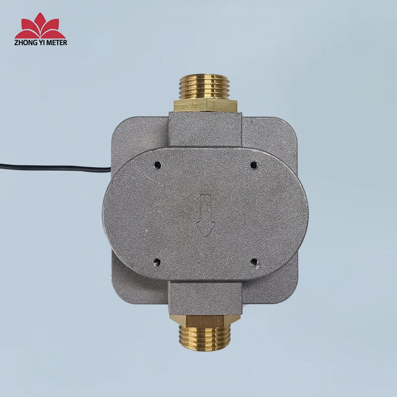 Rs485 Lpg /lng Gas Meter / Smart Gas Meter - Buy Roots Gas Meter,Lpg ...