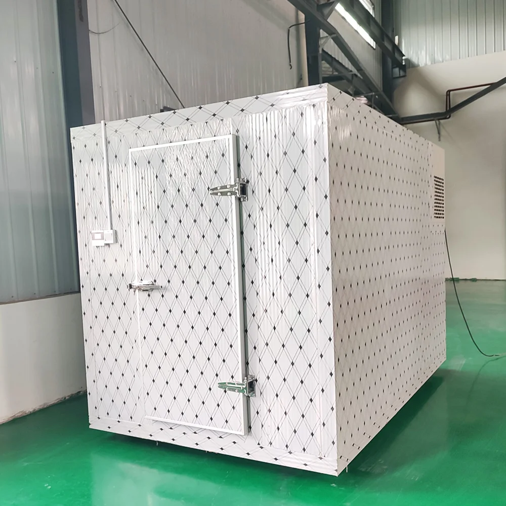 Cold Room Containers 20ft & 40ft reefer Containers available for sale ...