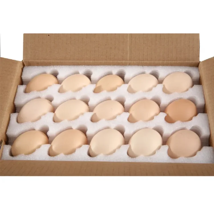 Customized EPE Foam for Egg Packaging Liner Protection| Alibaba.com