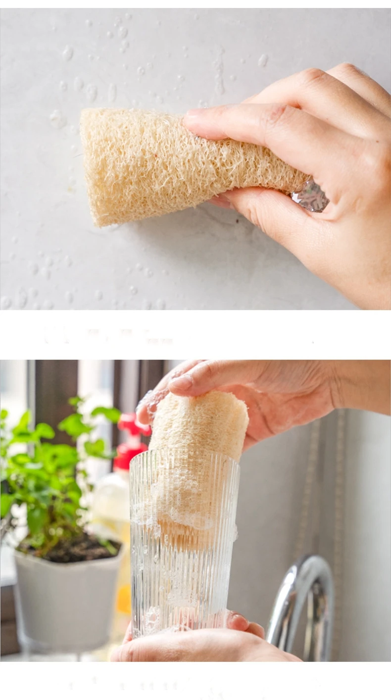 Wholesale Loofah Segment Dishwashing Towel Day with Department Store ...