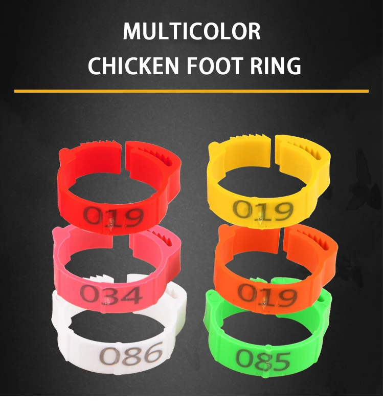 Adjustable Poultry Chicken Birds Pigeon Leg Ring Tag with Numbers 001 ...