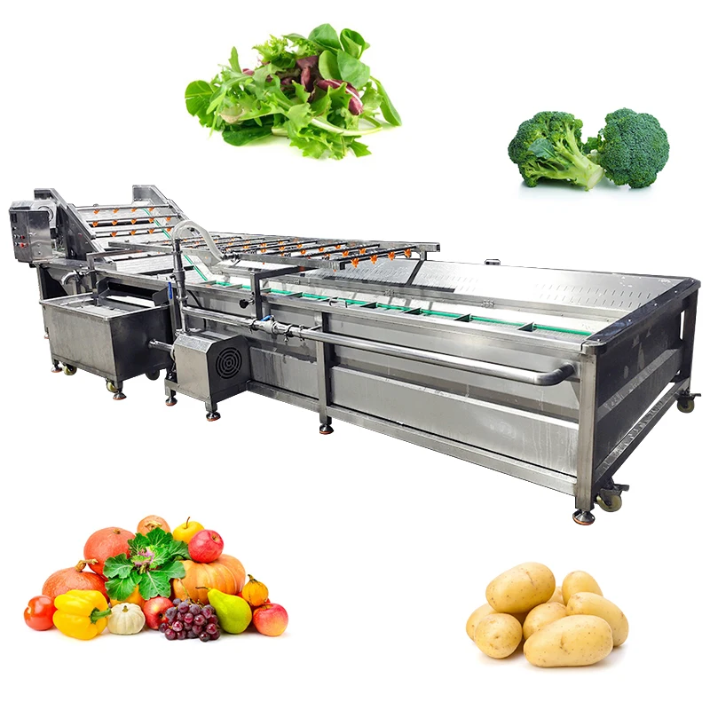 Complete 500kgs Mango Pulp Washing Sorting Machine Pineapple Peeling ...