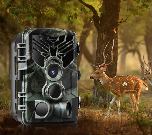 Mini 301 Hot Sale Mini Hunting Camera Trail Camera - Buy Hunting Camera ...