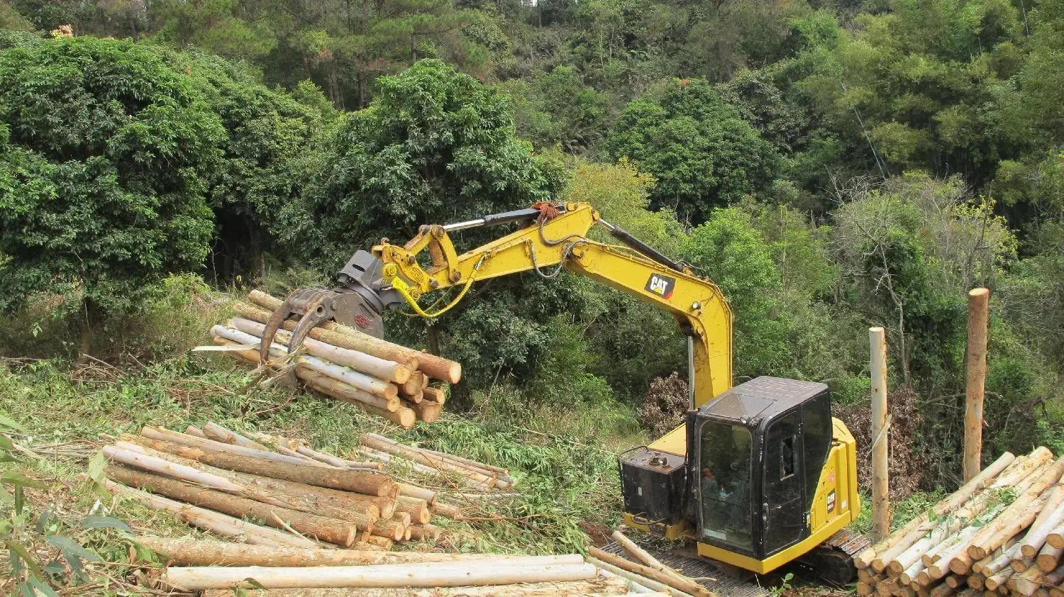 Forestry Equipment Bunching Grapple Xuvol 90p With Hydraulic 360 Degree ...