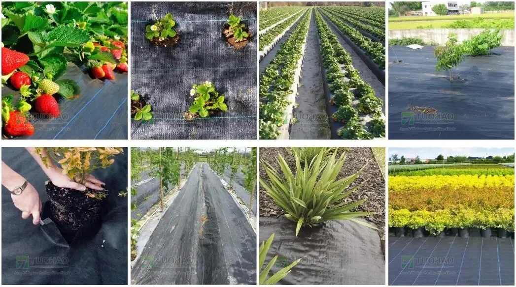 Agricultural Weed Mat Ground Cover Anti Grass Weed Cloth Mulch Mat Anti ...