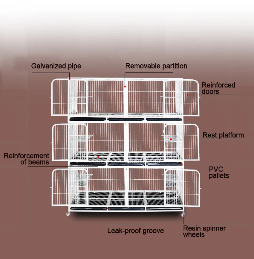 Professional Rabbit Cages - Durable & Efficient Solutions