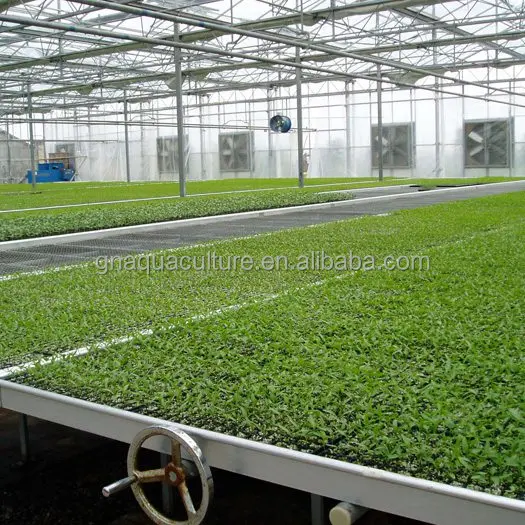 Greenhouse Ebb And Flow Table Rolling Benche Hydroponic System Grow ...