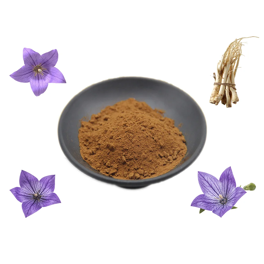 Platycodon Grandiflorus Platycodon Root Balloon Flower Platycodon ...