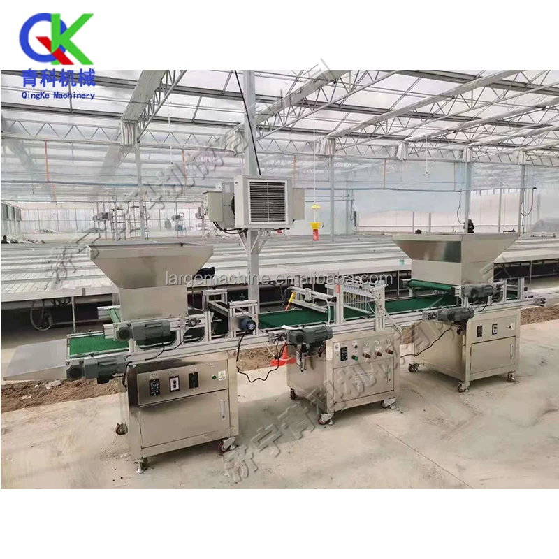 Burrow Seedling Machine Vegetable Automatic Seedling Sowing Machine ...