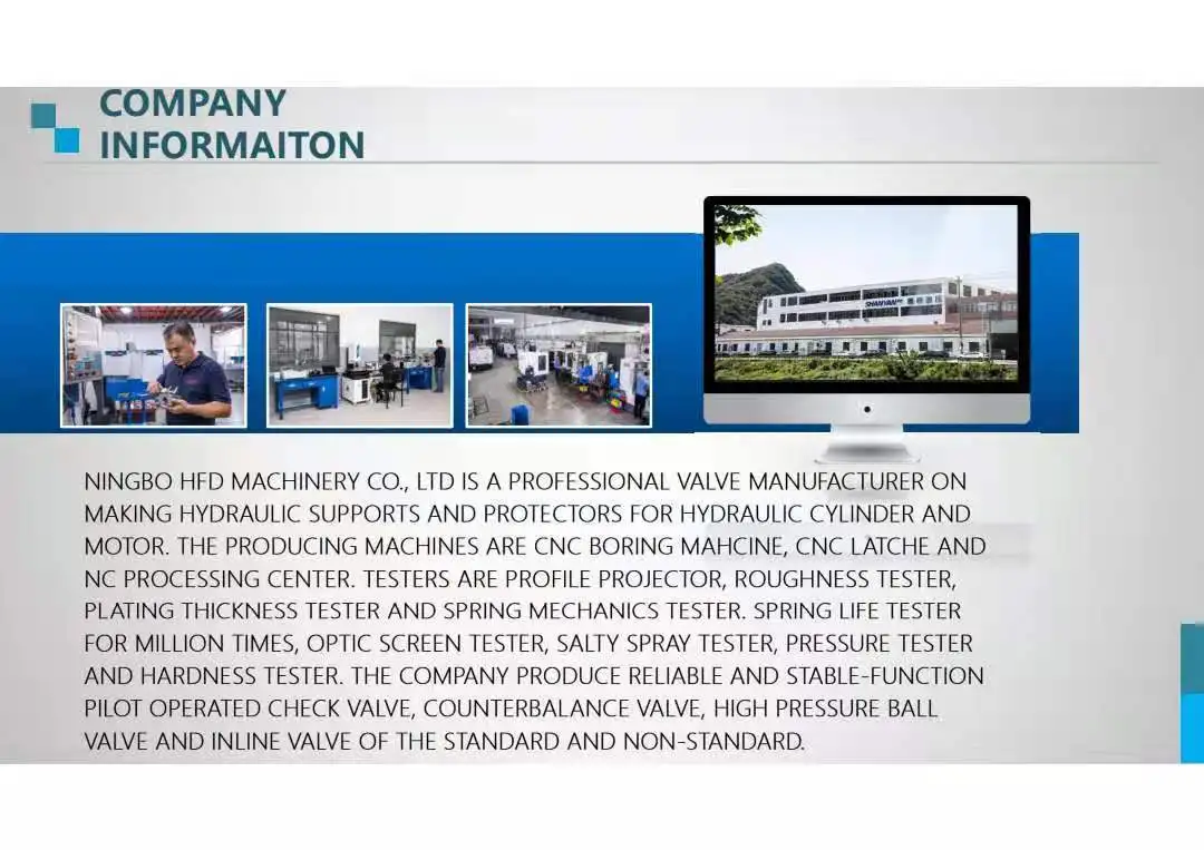 FLOW RESTRICTOR WITH CHECK Valve HydraulicS VRB VRFU VRFB VRU BI ...