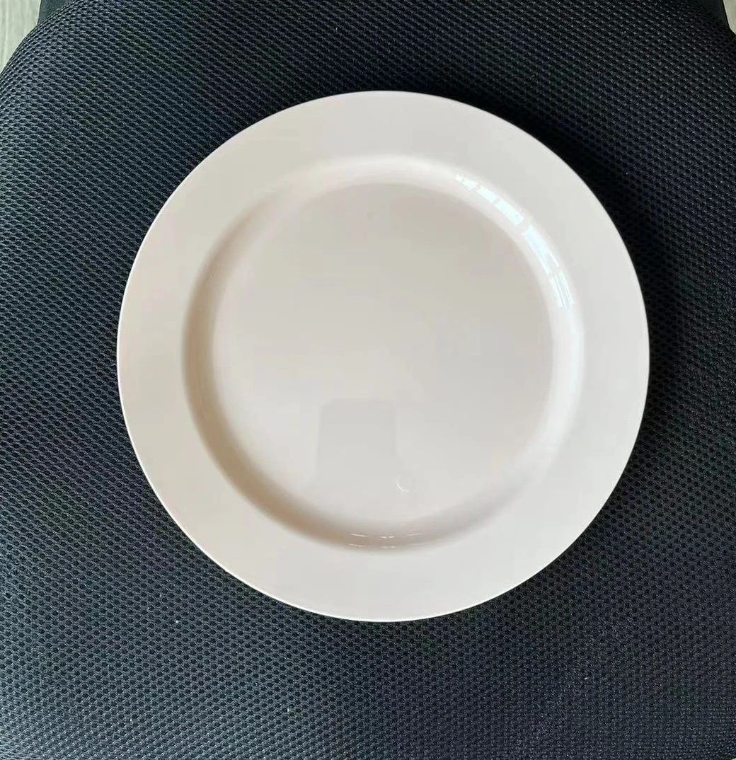 10.25 Inch Hard Disposable Hard Plastic White Plain Dinner Plates Sets ...
