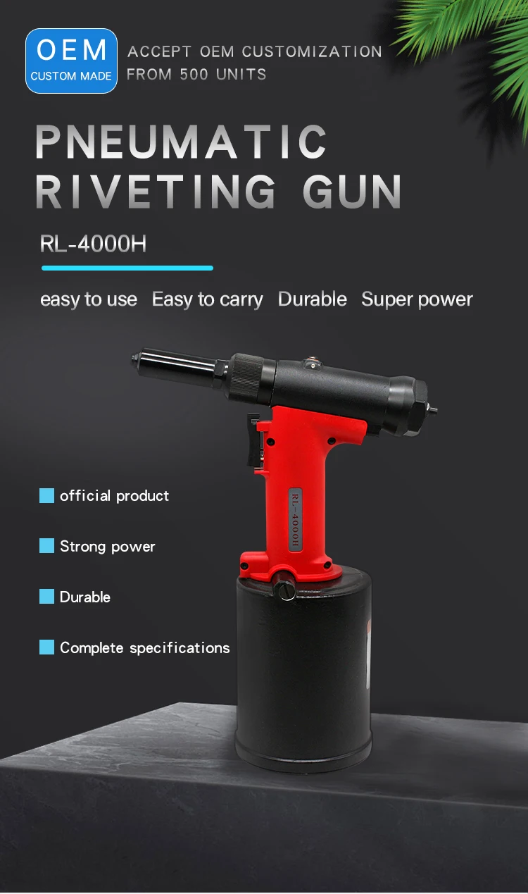 Hot Sale Rl-4000h Pneumatic Air Rivet Nut Gun 2.4-6.4mm Stainless Steel ...