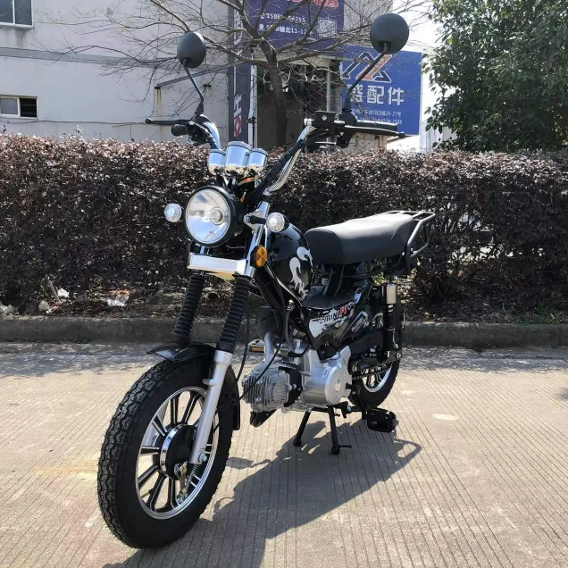 MINI Moped 50cc FH01-2 - Racing Motorcycle with Air Cooling
