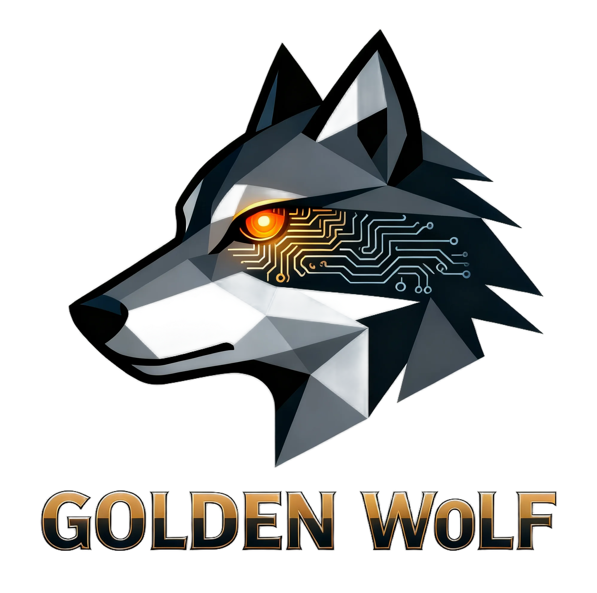 Company Overview - Shenzhen Golden Wolf Intelligent Electronics Co., Ltd.
