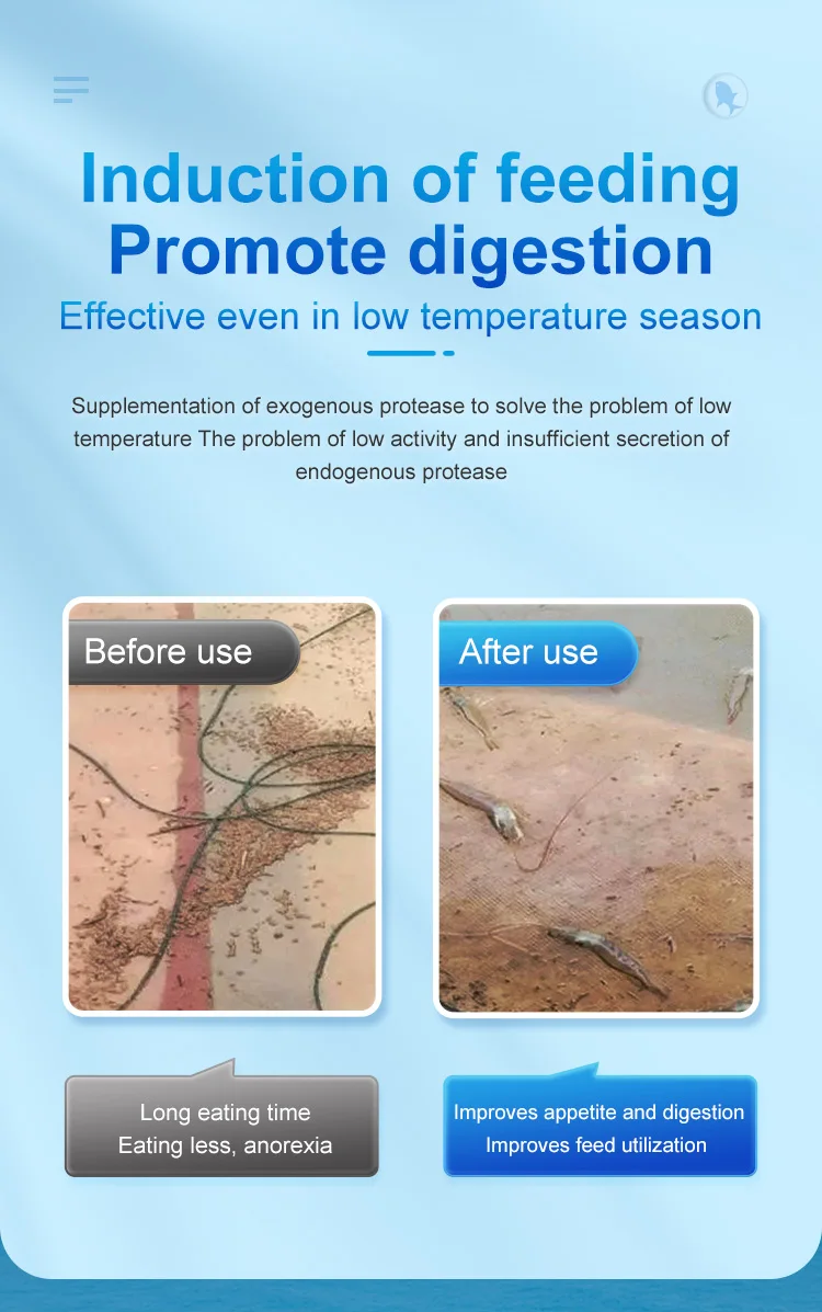 Aquatic Feed Additives,Improve Appetite,Promote The Digestion Of Fish ...