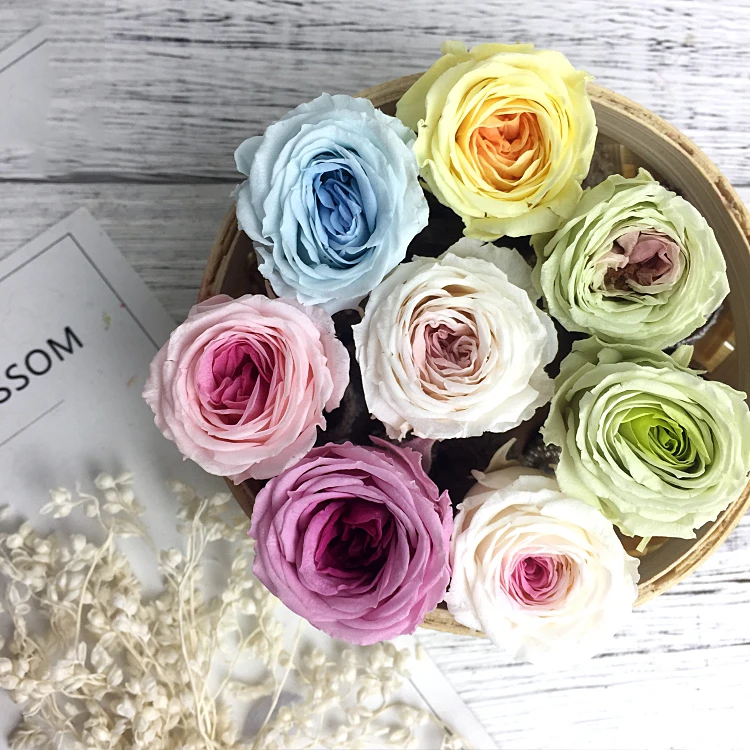 Beautiful Preserved Rose Flower 4-5cm A Grade Stabilized Rose Preserved ...