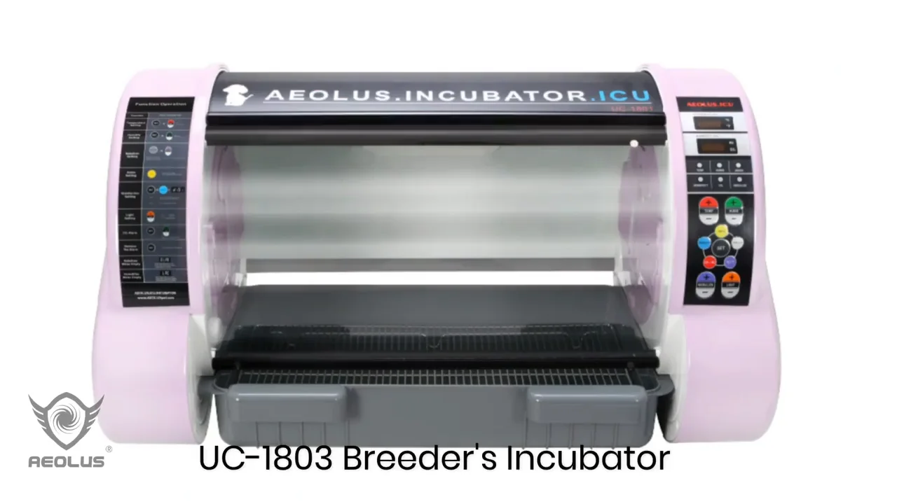 Incubator Chamber Transport Pet Icu Aeolus Bird Brooder Incubadora Para ...
