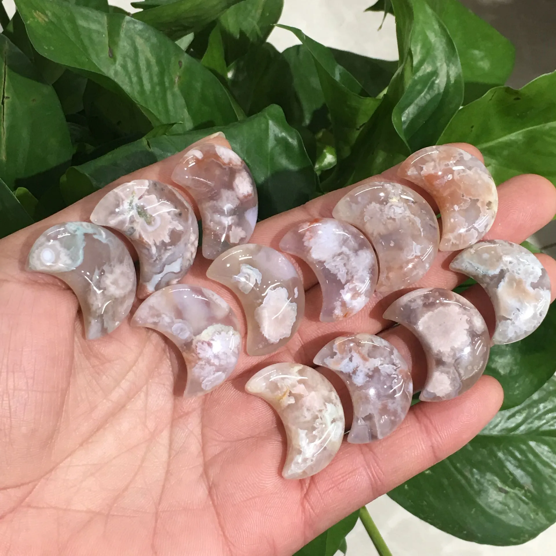 Home & Living Rocks & Geodes Home Décor Flower Agate Moons etna.com.pe