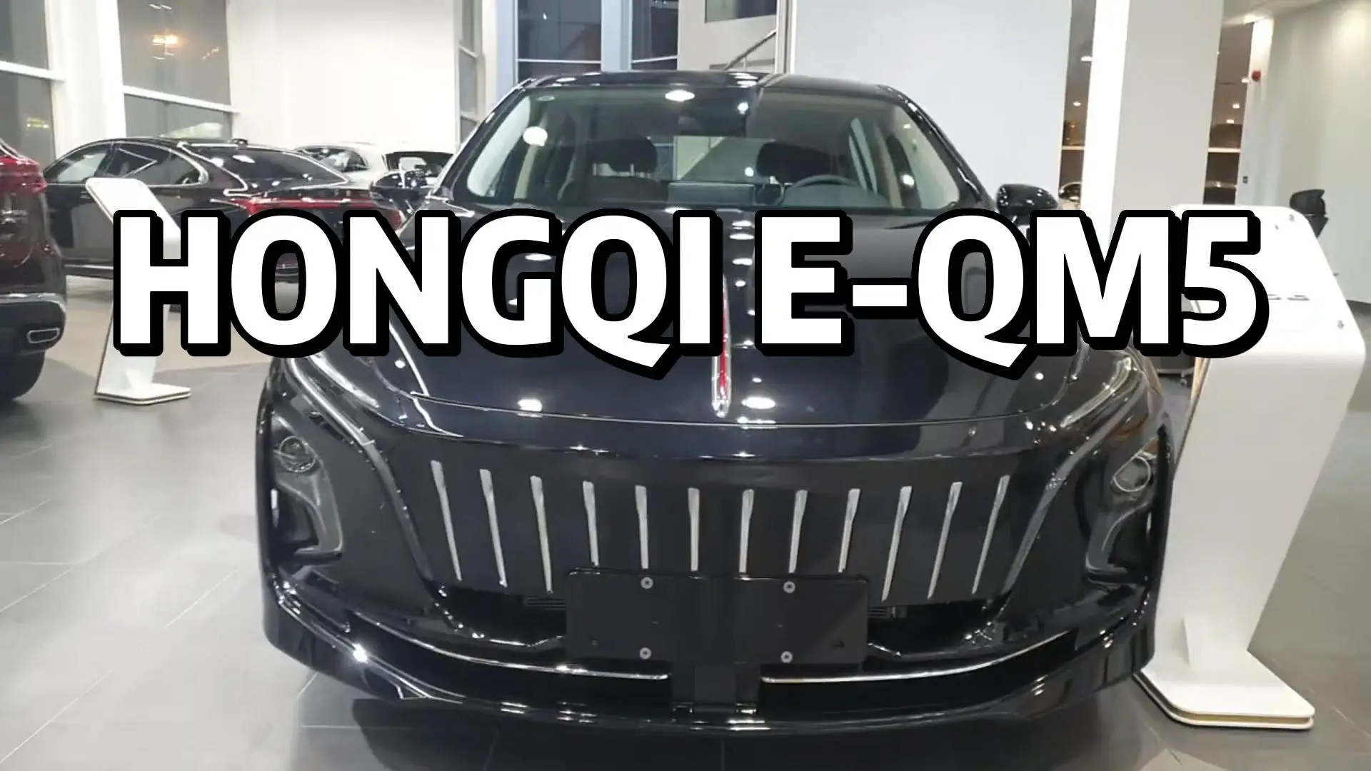 2023 Passenger Car Hongqi Series E-qm5 Netbook Charging Car Electric ...
