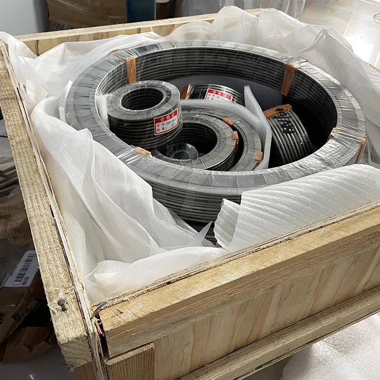 Spiral Wound Gaskets - Durable Graphite Packing Solutions