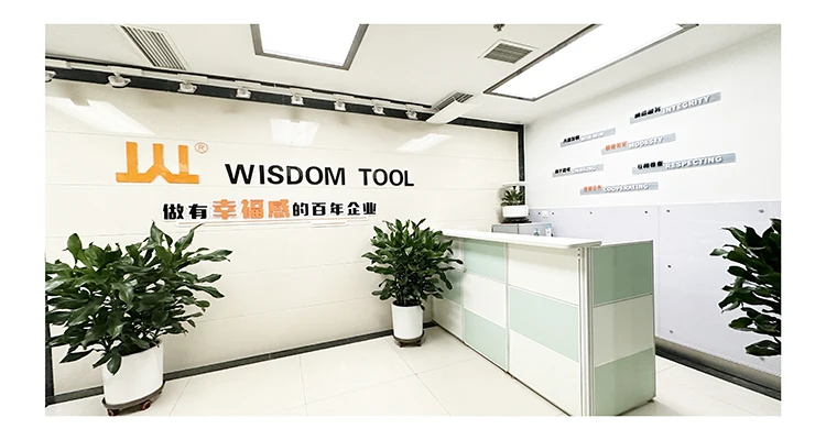 WISDOM Electric Hand Drill Accessories - Cutting & Polishing