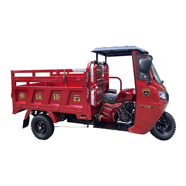 250cc Tricycle Motorcycle Petrol Engine Agricultural Use Cargo Tricycle Gasoline Engine 3 Wheel ...