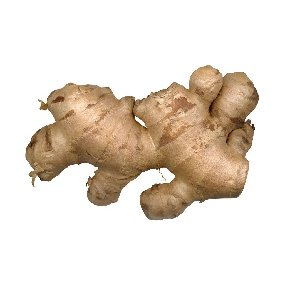 Fresh Ginger For Ginger Fresh Best Quality In Carton Professional ...