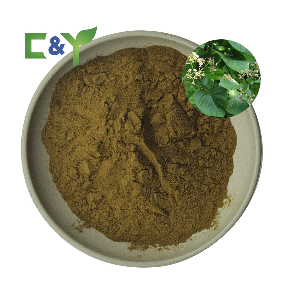 Wholesale Abundant Nutrients Cinchona Extract Powder