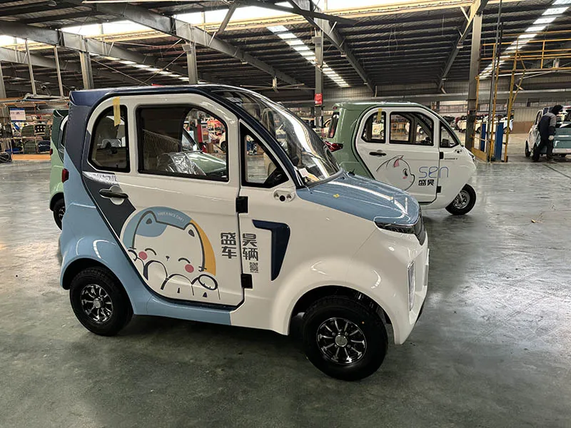 Oem Adult E-car For Elderly In Pakistan / Low Price 2 Door Taxi Ev ...