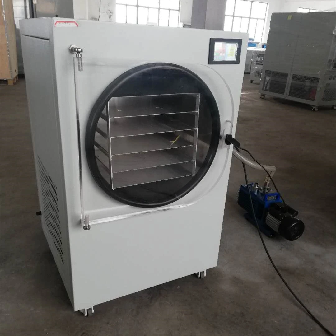 Industrial Lab Mini Freeze Dryer Lyophilization Machine with Motor ...