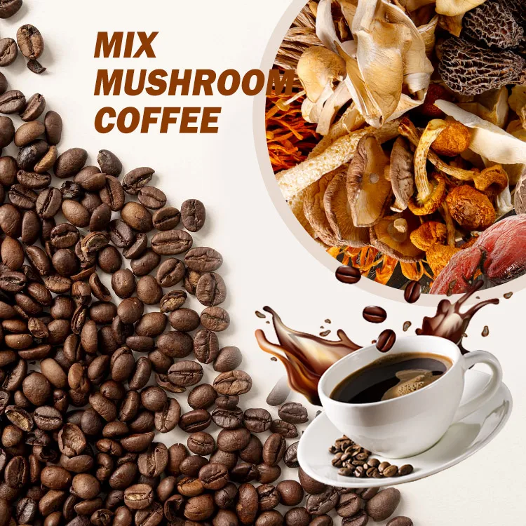 Oem Lions Mane Ganoderma Lucidum Mix Powder Instant Mushroom Coffee ...