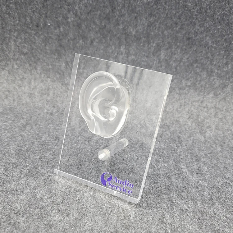 Acrylic Ear Display with Single Silicone Ears for Hearing Aids