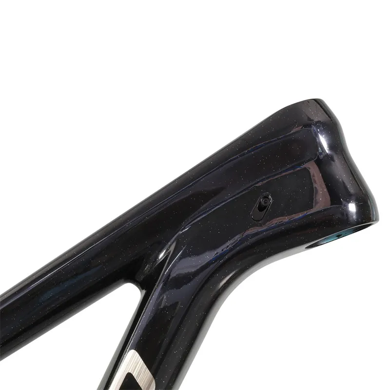 Customized Painting Carbon Frame MTB Bicycle Enduro Suspension P9