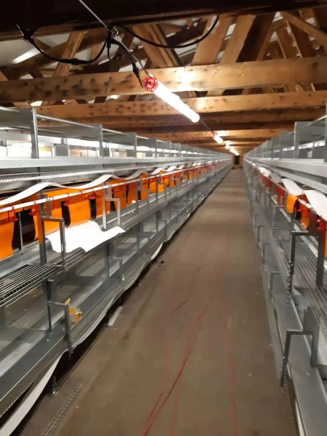 360 Led Tube Professional Waterproof Light lamp for chickens 0-10V Dim ...