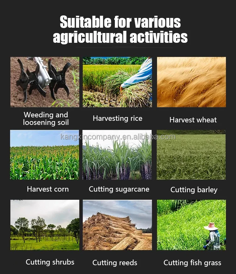 Chopper Machine Grass Cutter Animal For Animals Feed Mower - Buy 40-5 ...