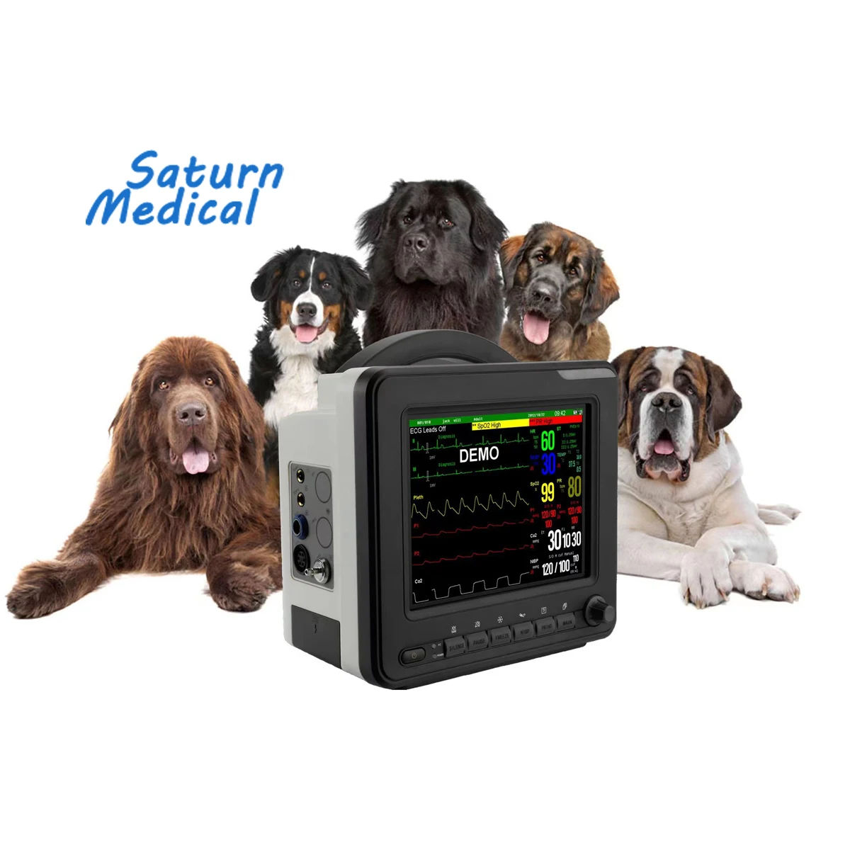 Hot Sale 6 Multi-parameter Digital Pet Vet Veterinary Health Pulse ...