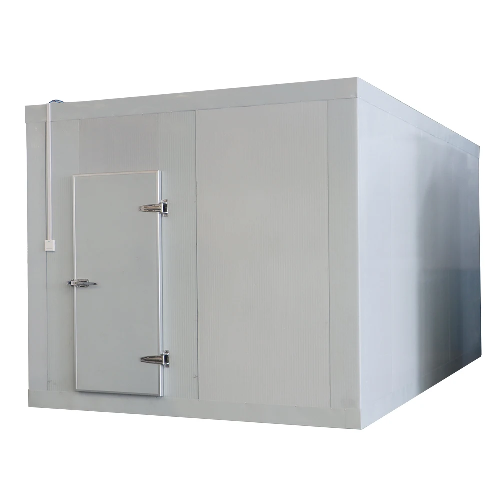 Mobile Blast Freezer Cold Room for Hotel Retail Industries Ultra Low ...