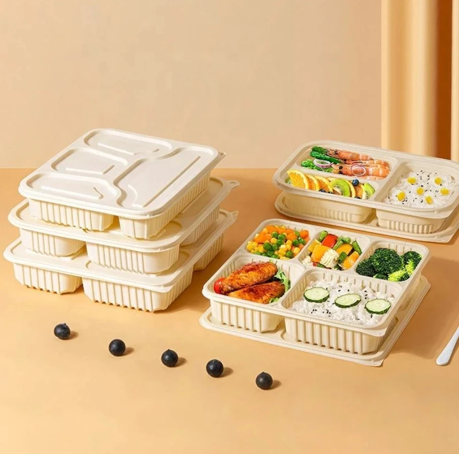 Restaurant Disposable Biodegradable Takeaway Food Container Packaging ...