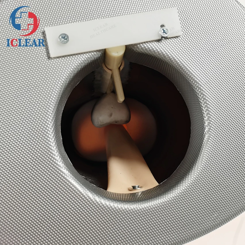 Prostate Examination Model - Advanced Nurse Training Simulator