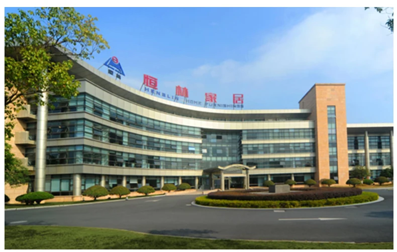 Henglin Height Adjustable Ergonomic Student Learning Table Chair Mesh ...