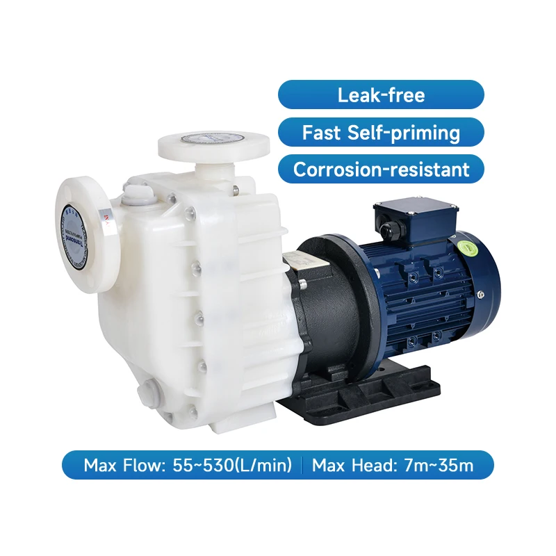 Rundry Magnetic Drive Pump - High Pressure & Self Priming