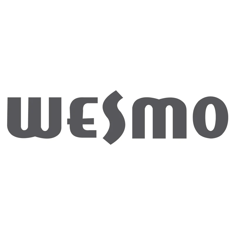 Company Overview - Guangzhou Wesmo Home Decor Technology Limited