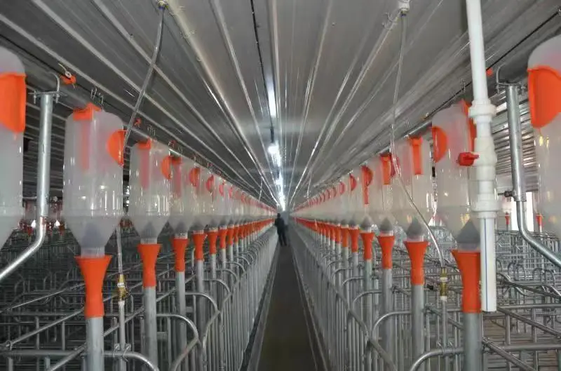 Production Feeder Pig Distributor Ration Box Ration Feeder Container ...