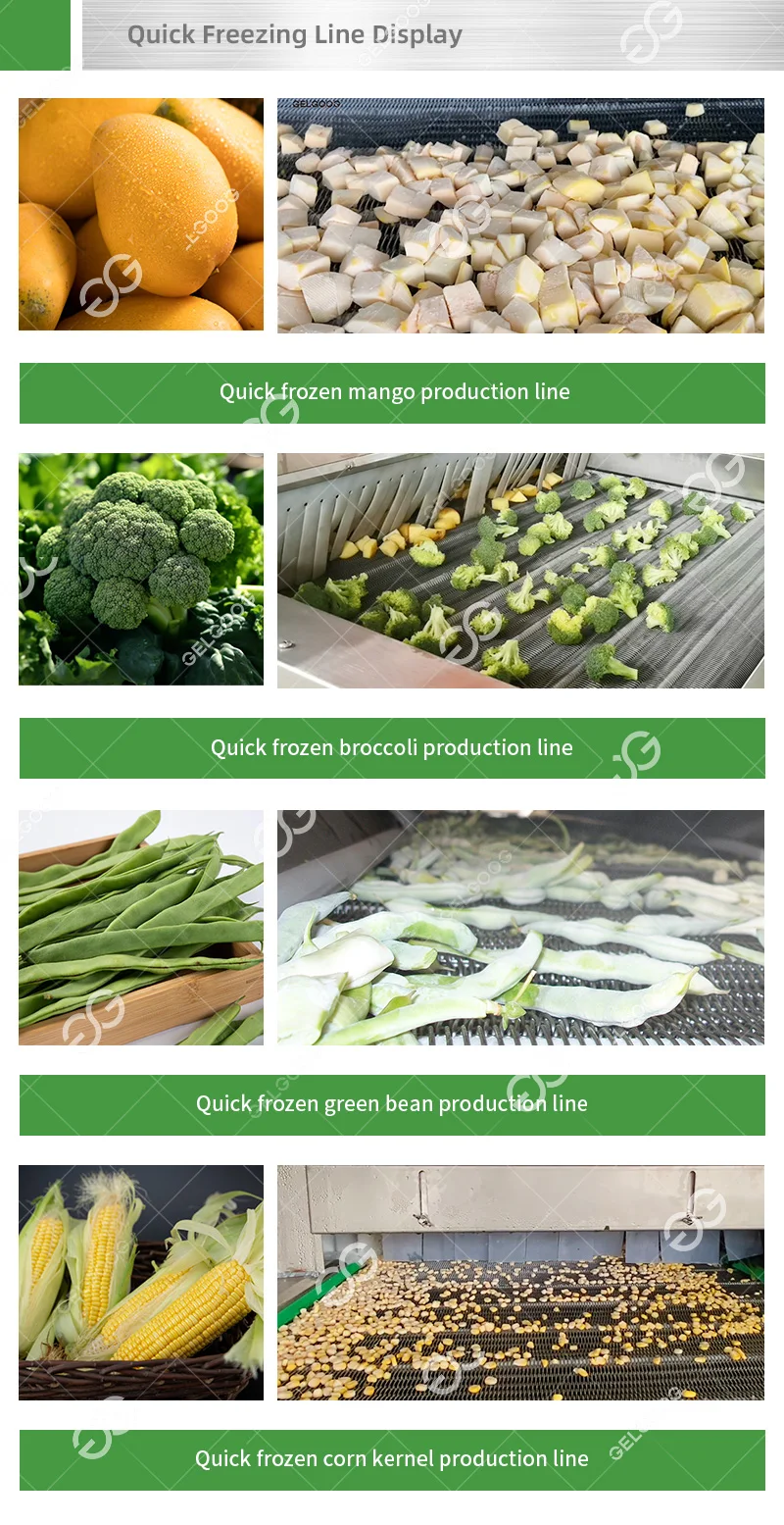 Gelgoog Automatic Frozen 500kg/h Mango Freeze Machine Shock Freezing Blast Freezer For Fruits ...