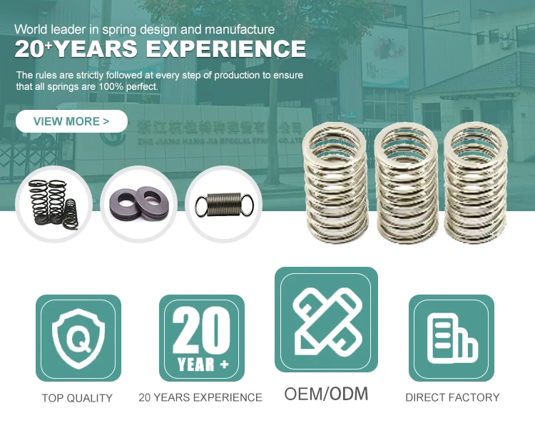 Custom Flat Wire Springs Coil Injection Pump Spring Counter Balance ...